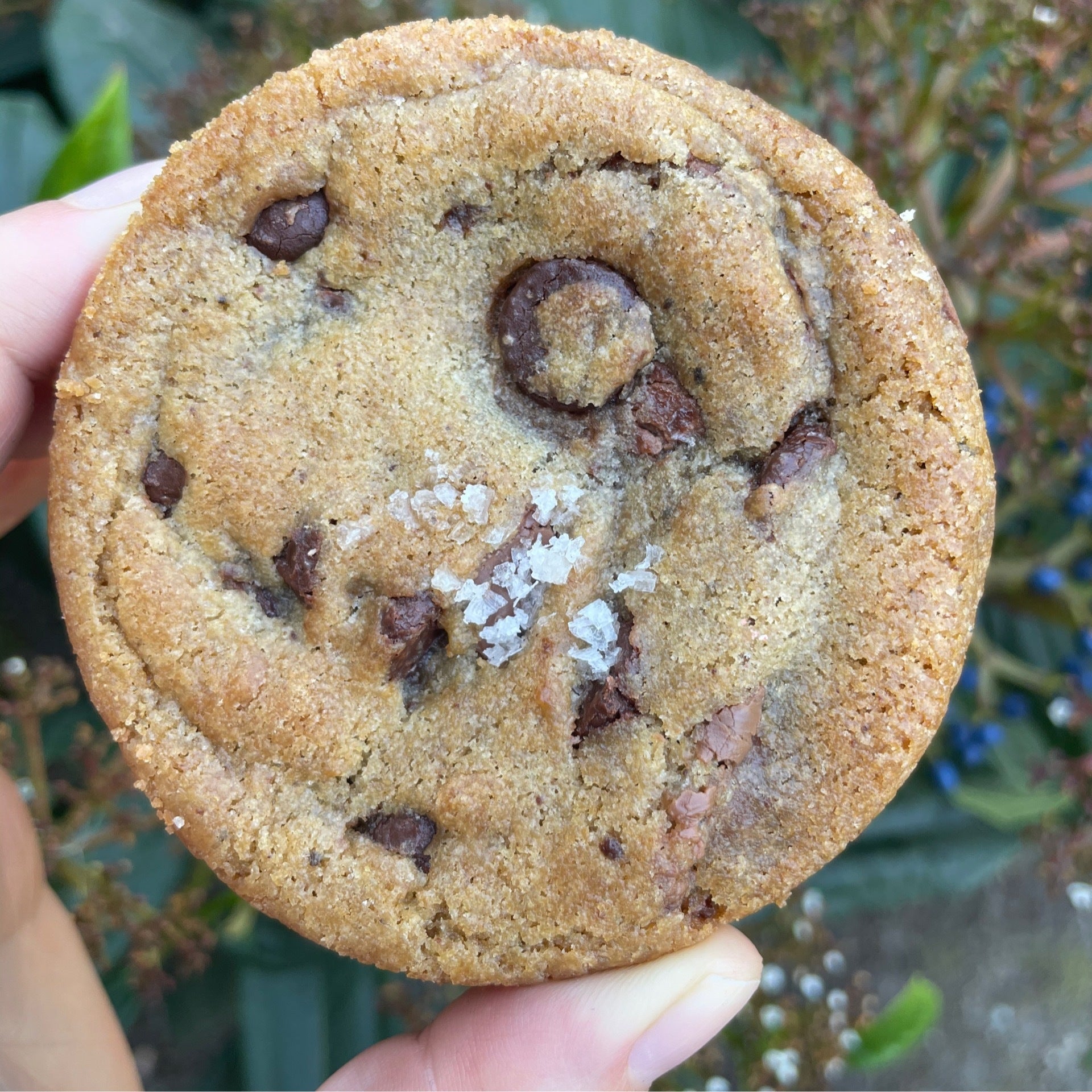 Brown Butter Triple Chocolate Chip | Lowrider Cookie Company